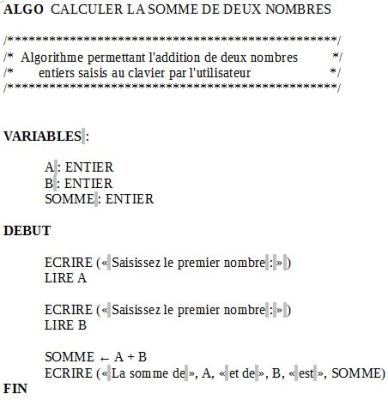 Qu'appelle-t-on un algorithme dans le domaine informatique